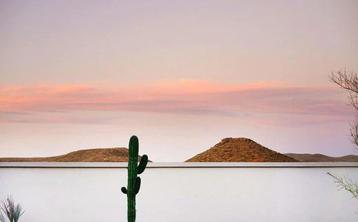 Mindful Breathing | Ripple+ – theripplecoEU