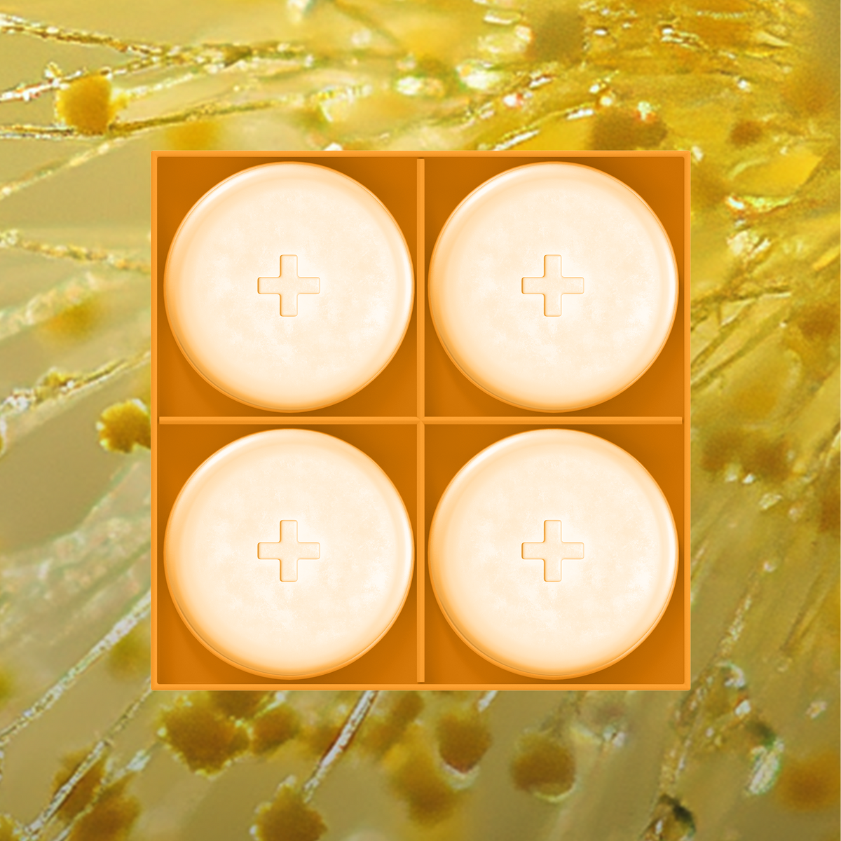 Mimosa Melts | Mimosa + Manuka + Peony | Wax Warmer